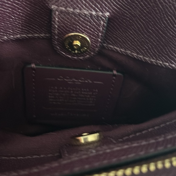 Coach | Bags | Nwt Coach Mini Lillie Carryall Boysenberry Rare | Poshmark